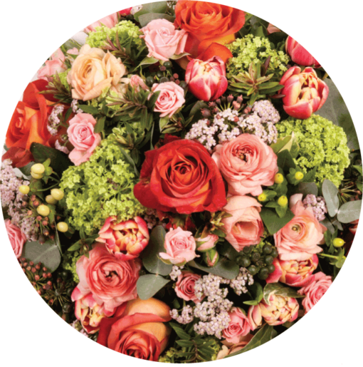 Flower colour schemes